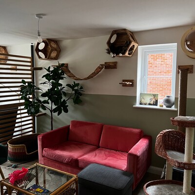 Large Wall Mounted Cat Bridge Lounge Platform Built Solid Wood and ...