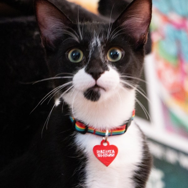 The Rainbow Breakaway Cat Collar - Etsy