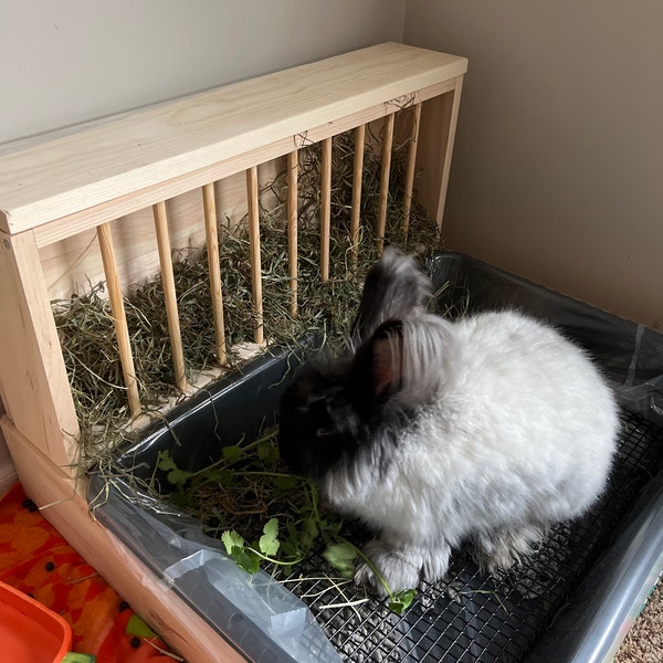 XL 1.0 - Hop Box:rabbit Bunny Hay Feeder and Litter Pan Combo - Etsy