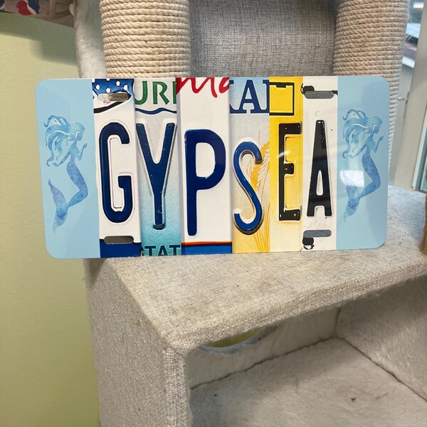 Salty License Plate, Beach Mixed License Plates, Realistic Looking, Not ...