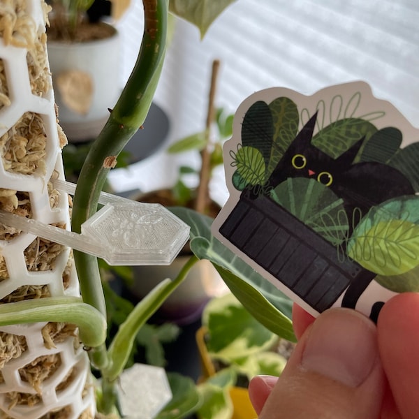 Propagation Pins - Moss Pole Pins - Allow a Little More Flair to Your ...