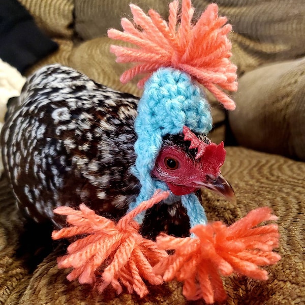 Chicken Hat, Chicken Hat for a Chicken, Hat for a Chicken, Chicken Head ...