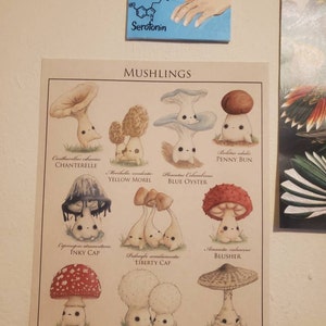 Mushling Identification Print Mushroom Botanical Fine Art | Etsy UK