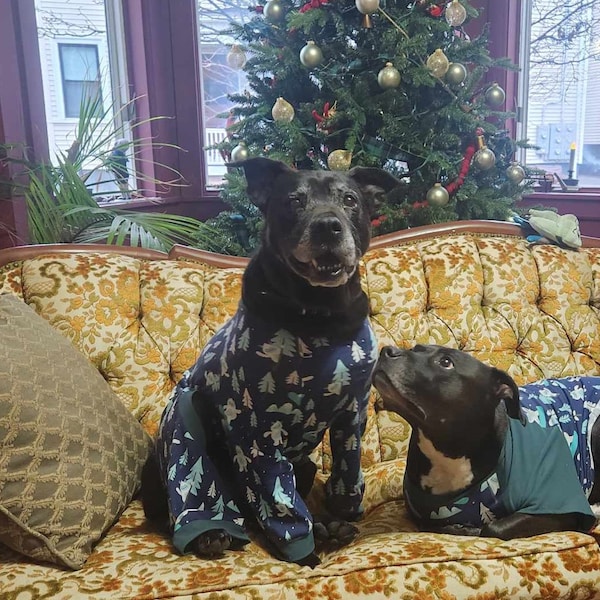 Dog Pajamas Sewing Pattern PDF Download | Large Dog 3 Pack | Large Dog ...