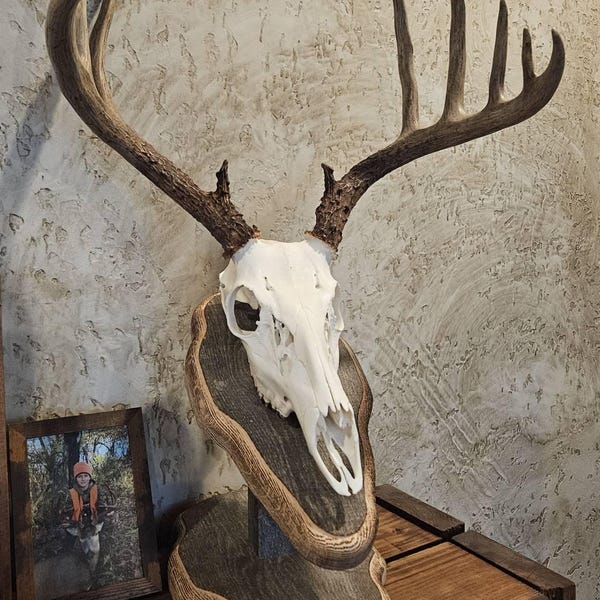 Barnwood European Table Mount - Etsy