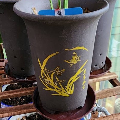 China Yixing Zisha Handmade Tea Pet Aloof Panda 呆呆的熊猫 Home - Etsy