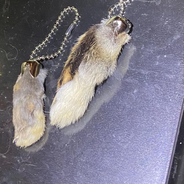Rabbit Foot Key Chain - Etsy