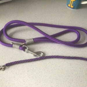 White Biothane Dog Collar - Etsy