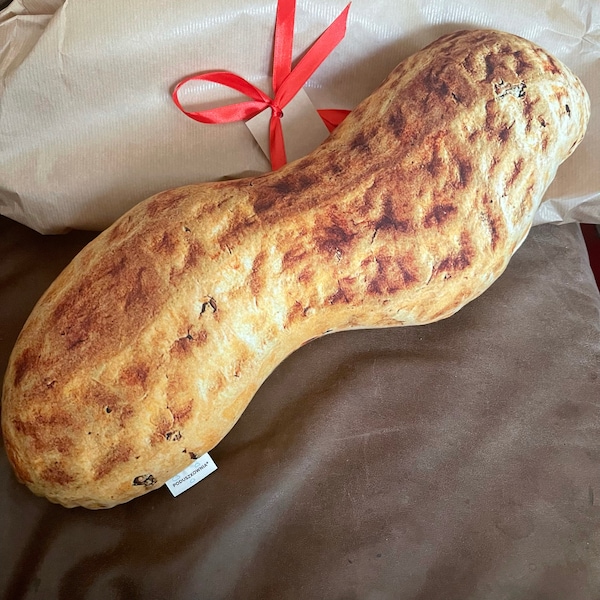 Realistic Peanut Pillow, Handmade Plush Nut Cushion, Food Pillow - Etsy
