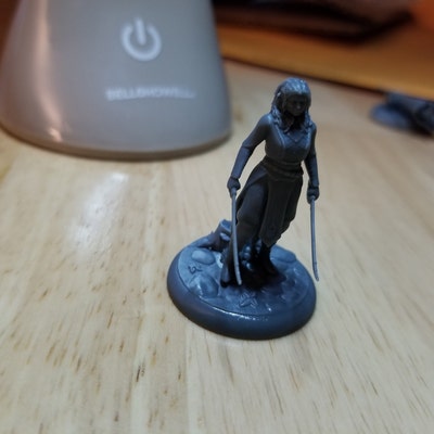 Lae'zel 1:12 Scale Unpainted Unassembled 3D Resin GK Kit Baldur's Gate ...