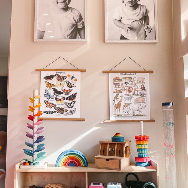 Butterfly Poster Nature Educational Posters Charlotte Mason ...