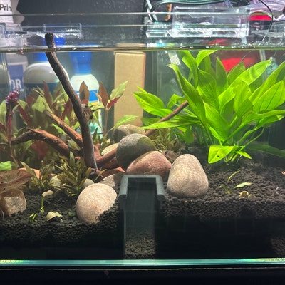 Aquaneat LED Light Riser, Attractive Stable Elevated Stand, Quality LED ...