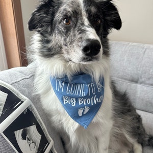 State of Michigan or Select Your State Pet Name Tag Medium 1 Max ...