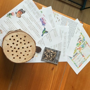 BATS Unit Study, Life Cycle, Anatomy, Nature Study, Science ...