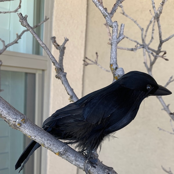 Artificial Flying Feathered Crow/raven, 8.5 Inch, Flexible Wings ...