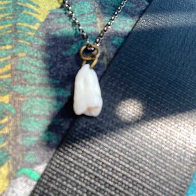 Tooth Fairy Series: One Real Human Tooth Pendant Necklace - Etsy UK