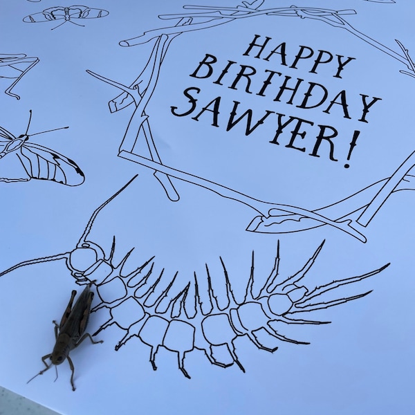 Insect Party Decorations Bug Birthday Decor Coloring Page Table Runner ...
