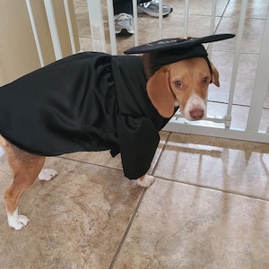 Princess Peach Dog Costume, Mario Kart Costume, Halloween Dog Costume ...