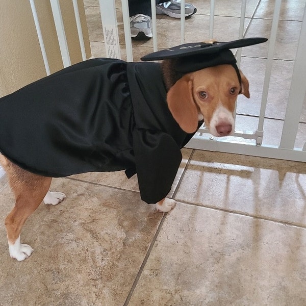 Personalized Graduation Dog Gown: Cap & Tassel - Custom Fit - Etsy