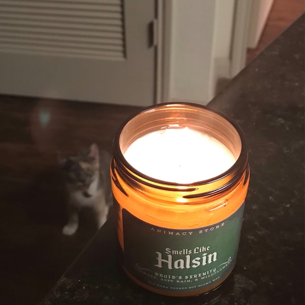 HALSIN Inspired Candle - BG3 - 8 Oz Hand Poured Soy Blend Wax - Nerdy ...
