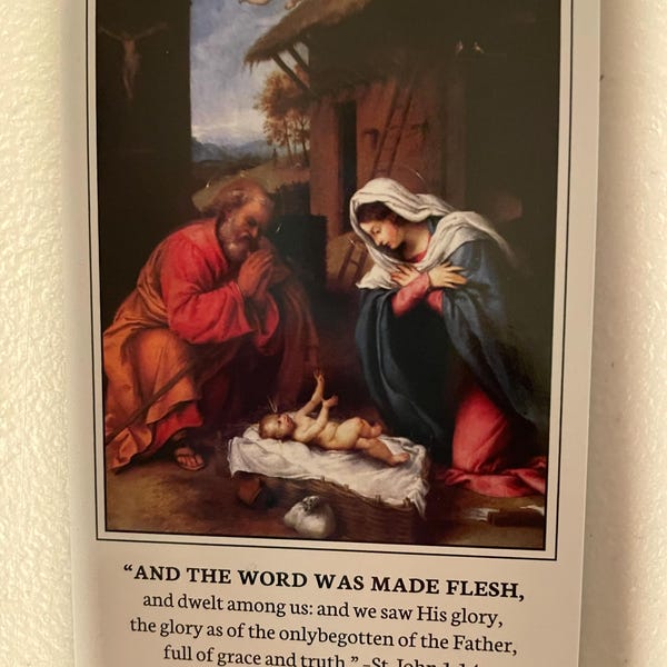 Traditional Catholic 4 Book Bundle: the Fifteen Mysteries of the Holy ...