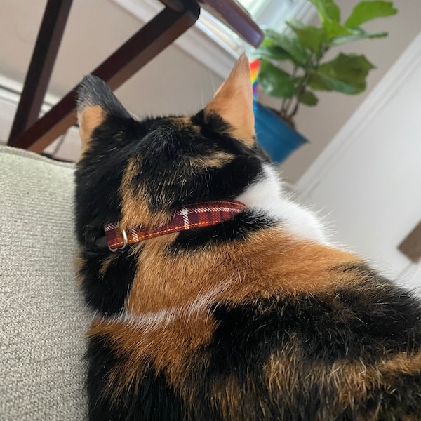 Autumn Cat Collar- Fall Cat Collar- Holiday Cat Collar- Leaves Cat ...