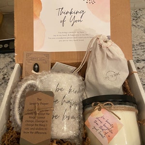 Thinking of You Care Package Care Package for Her Live Succulent Soy ...