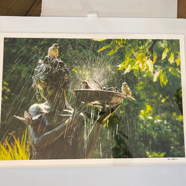 Kevin Bertolacci Photography by KevinBertolacciPhoto on Etsy