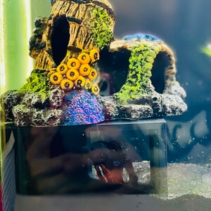 Skeleton Human Hand right Hand Prop Sculpture | Etsy