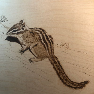 Mexican Grey Wolf Pyrography Pattern Wood Burning Pattern Digital ...