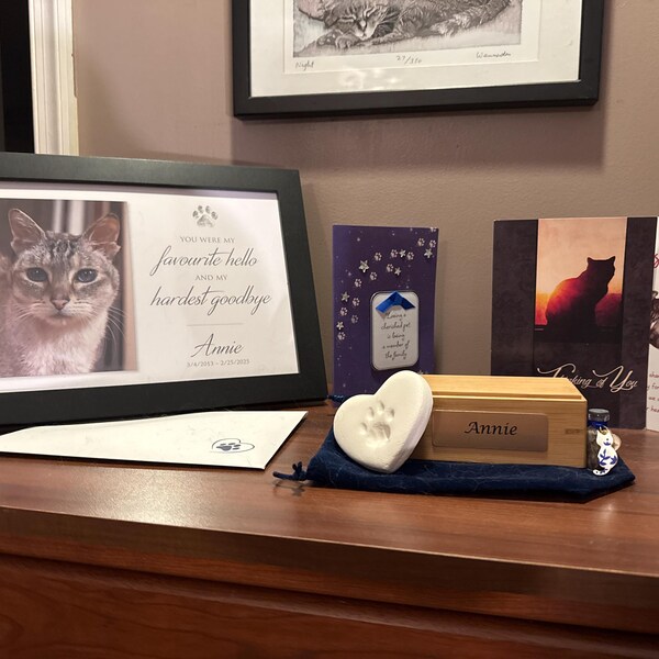 Fur Baby / Furry Friend / Watching You / Dog / Puppy Mother's Day Card ...