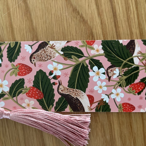 Strawberry Birds Bookmark. With or Without Tassel- Kawaii Illustrated ...