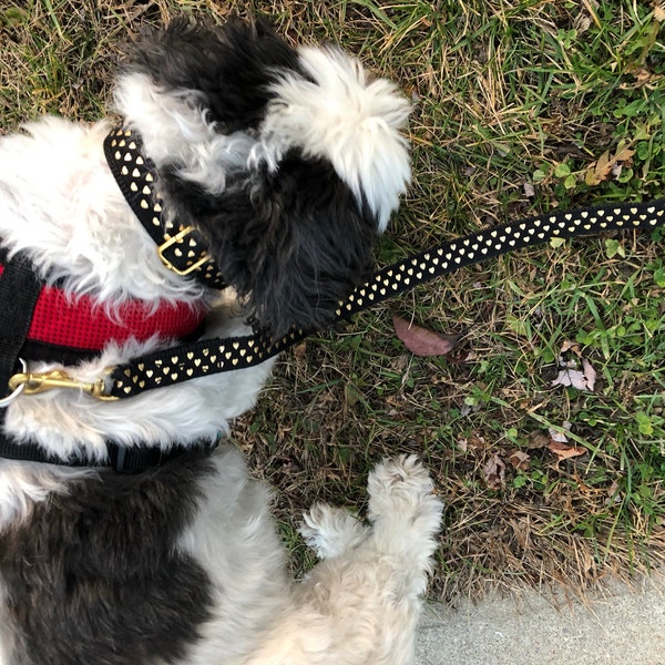 Gold Star Dog Collar, Dog Collar, Black and Gold Star Collar, Cat ...