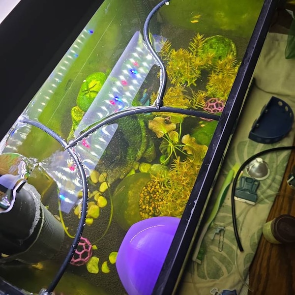 Aquarium Floating Plant Corral for Small Tanks With Low Surface Flow ...