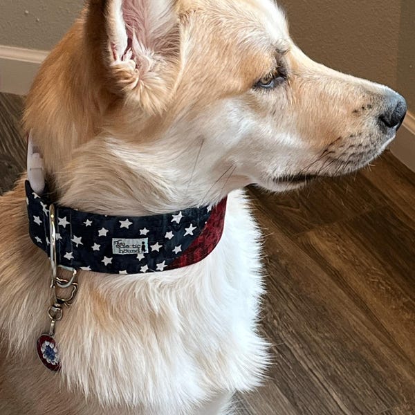 Easy Dog Tag Changer, Dog Collar Id Tag Clip With Lobster Clasp and ...