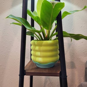 Space Saving Under Cabinet Shelf Organizer Pantry Cabinet Tray Kitchen ...