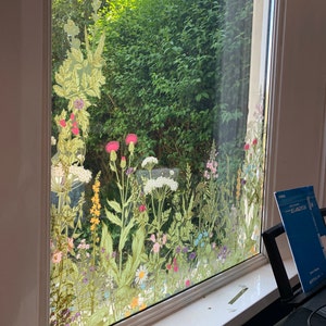 Botanical Frosted Window Film. Alternative Nets or Blinds. Security ...