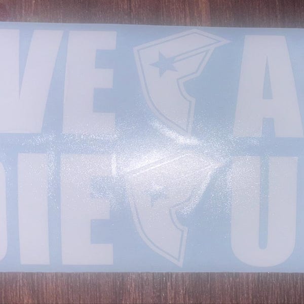 Kawasaki Vulcan! - Large Die Cut Vinyl Window Decal [D-1201] 11-1/2" X ...