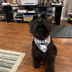 Custom Vet Tech Fanny Pack Vet Tech Tool Belt Vet Tech - Etsy