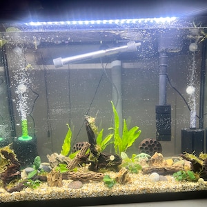 Godzilla Fish Tank Decorations - Etsy
