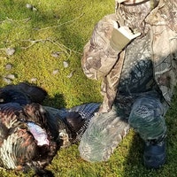 Turkey Call|hunting|friction|handmade|game Call|4 Slates=12 Sounds(2 ...