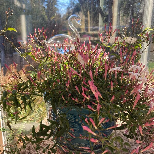 People Planter - "gamer" (#7) - Etsy