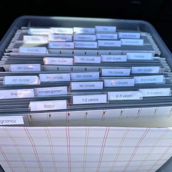 Printable Milestone Tote Labels Instant Download School File Box Labels ...