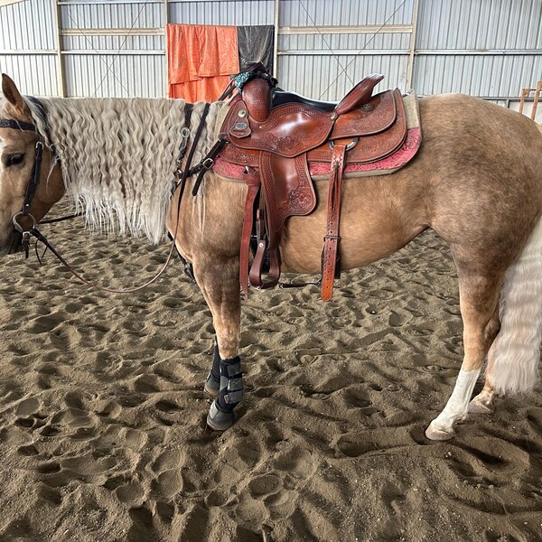 Ready to Ship! Single Pommel Saddle Bag for a Western Saddle - Horn Bag ...