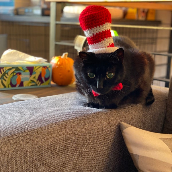 St Patrick's Day, Hats for Cats, Cat Costumes, Cat Hat, Cat Accessories ...