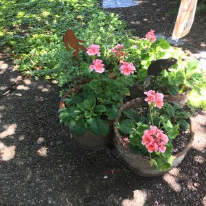 Privacy Screens Desert Landscape Saguaro Cactus Large Metal - Etsy
