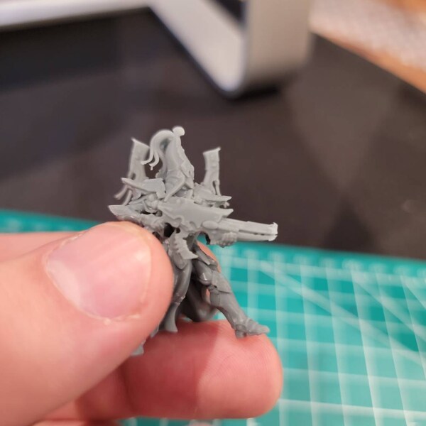 Griffon With Paladin Fighter Knight Rider 28mm and 32mm Scale Griffon ...