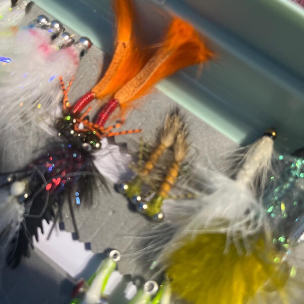 3 Tactical Masked Bandit + 1 FREE Random Fly — Streamer for Fly Fishing ...