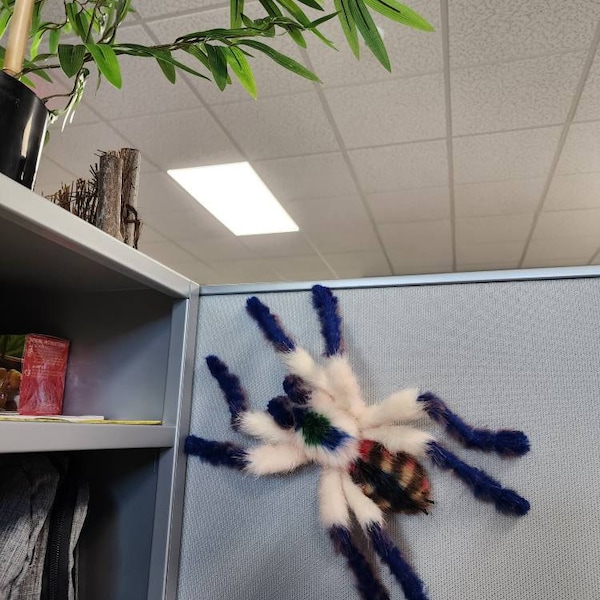 Realistic Tarantula Spider, Poseable Shelf Decor, Wall Mountable Faux ...