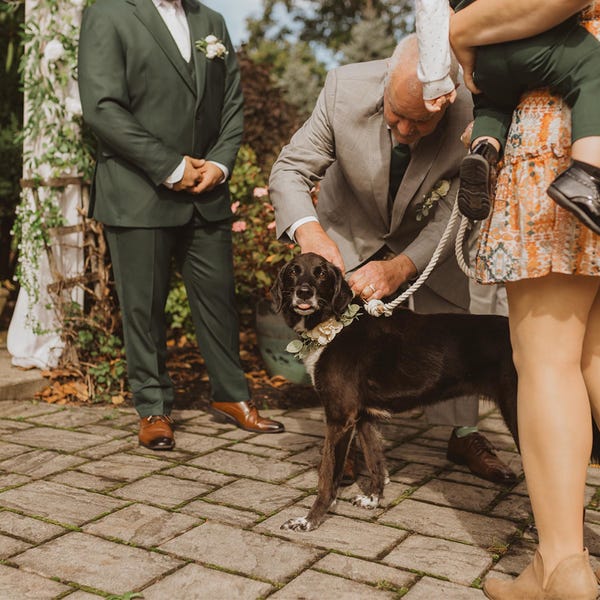 Floral Decor for Dog Wedding Collar | Floral Collar for Pet | Dog ...